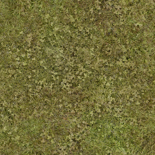Texture JPEG Grass Textures Maps