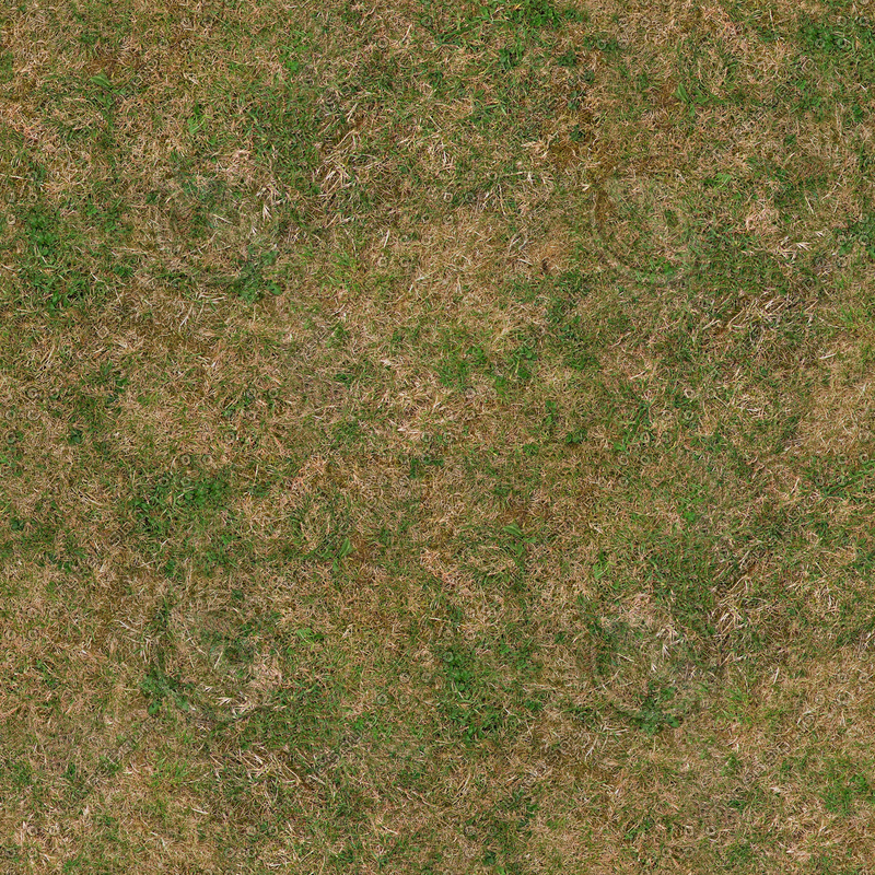 Texture JPEG Grass Textures Maps