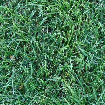 Materials Grass tile tileable