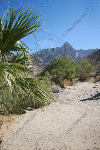 Stock JPEG Baja Desert Mexico