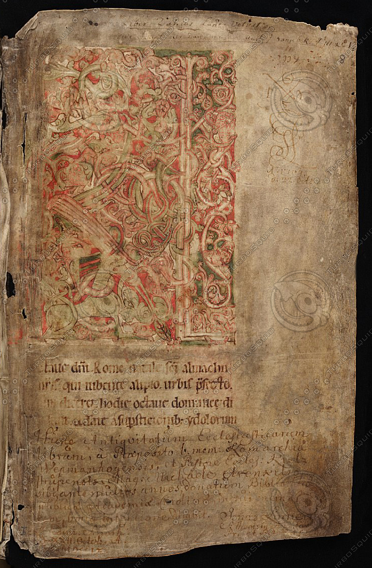Texture JPEG medieval page illuminated