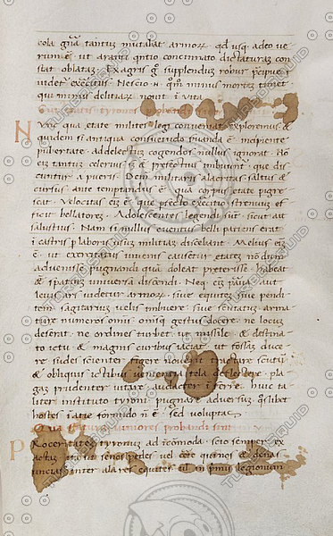 Texture JPEG medieval page illuminated