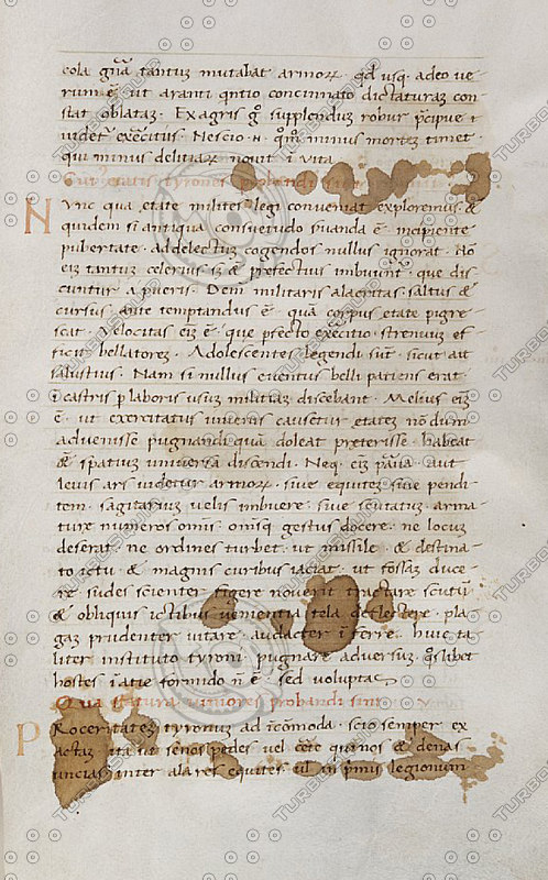 Texture JPEG medieval page illuminated