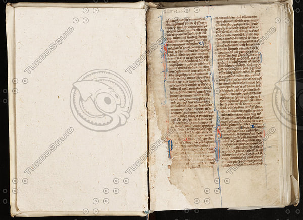 Texture JPEG medieval page illuminated