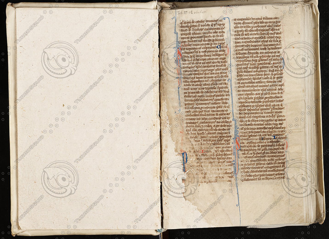 Texture JPEG medieval page illuminated