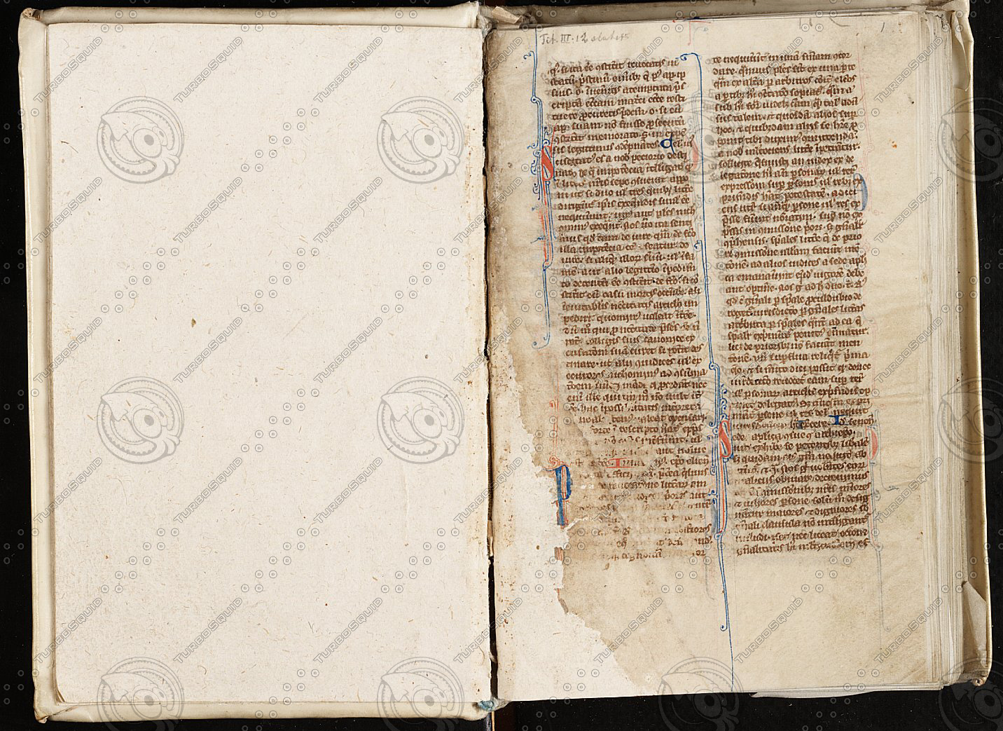 Texture JPEG medieval page illuminated