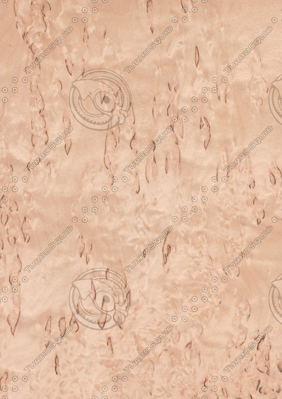 Texture JPEG burl veneer birch