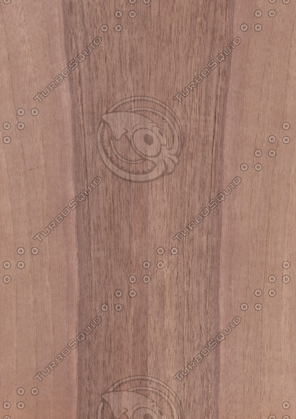 Texture JPEG veneer european walnut