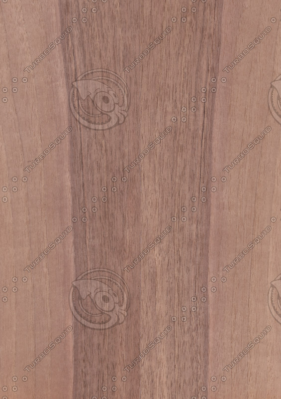 Texture JPEG veneer european walnut