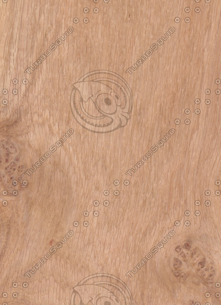 Texture JPEG knotty oak tree