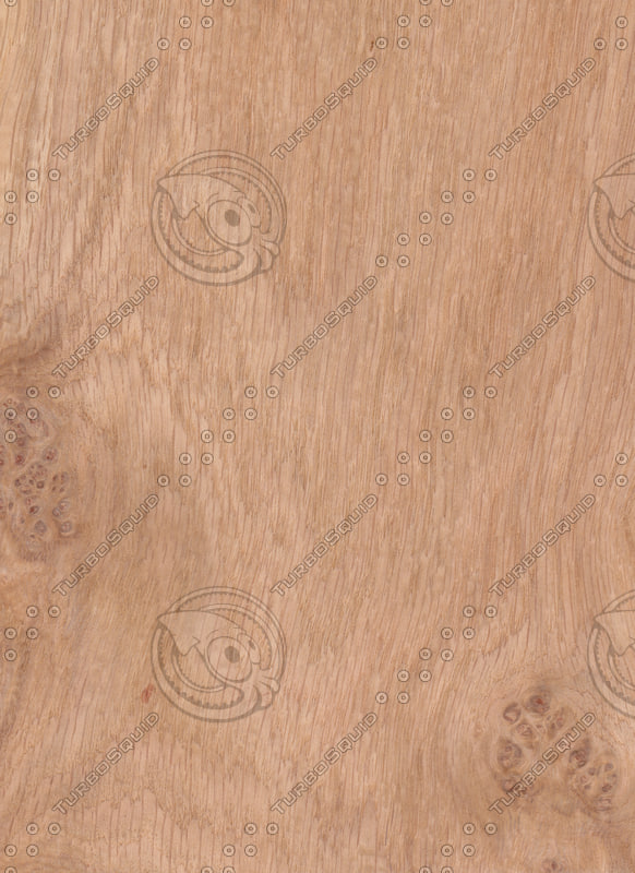 Texture JPEG knotty oak tree