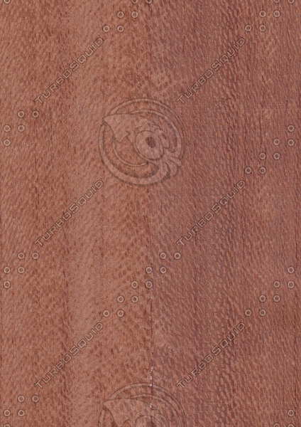 Texture JPEG wood veneer lacewood