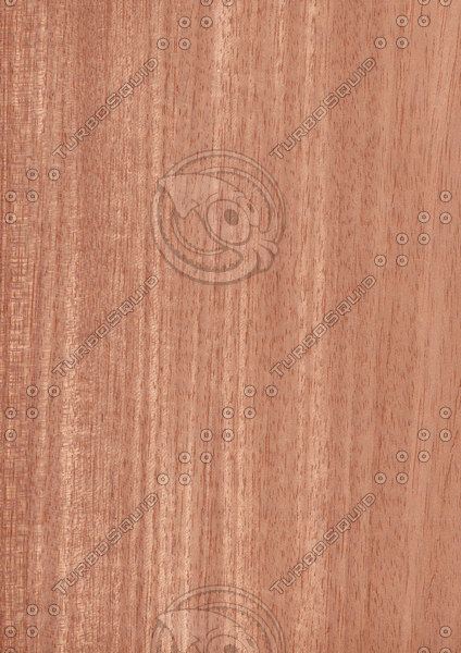 Texture JPEG veneer shorea bamboo