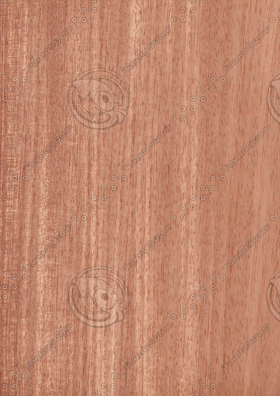 Texture JPEG veneer shorea bamboo