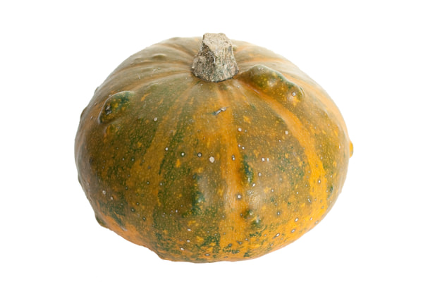 Stock JPEG pumpkin autumn halloween