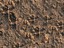 Texture Windows Bitmap tiled rock desert