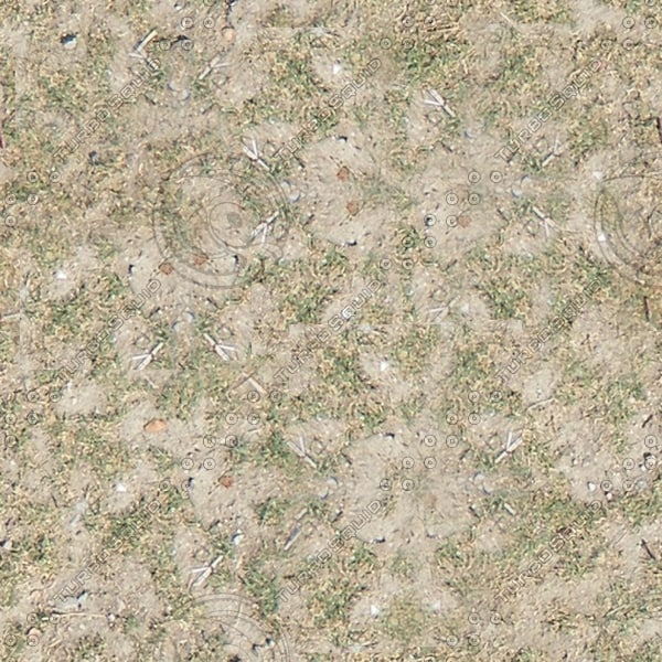 Texture Windows Bitmap dry sparse grass