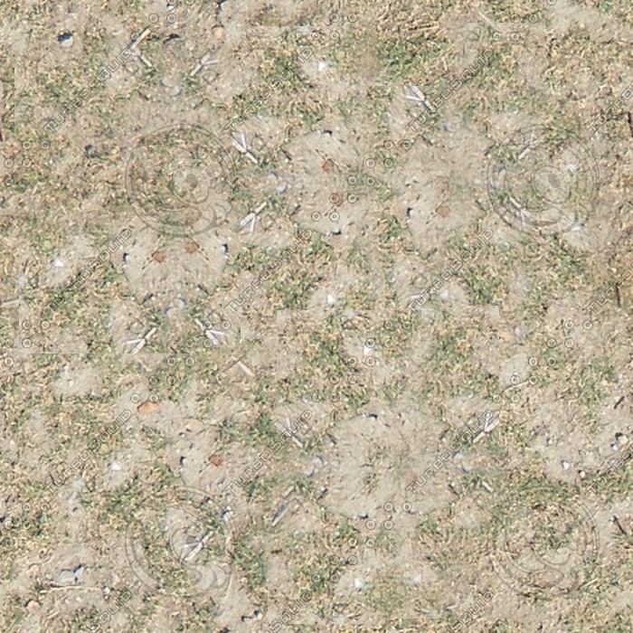 Texture Windows Bitmap dry sparse grass