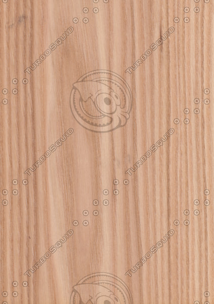 Texture JPEG veneer sweet chestnut