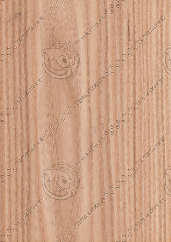 Texture JPEG veneer sweet chestnut