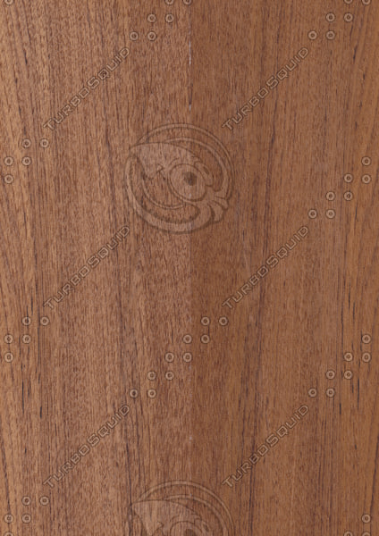 Texture JPEG veneer teak bamboo
