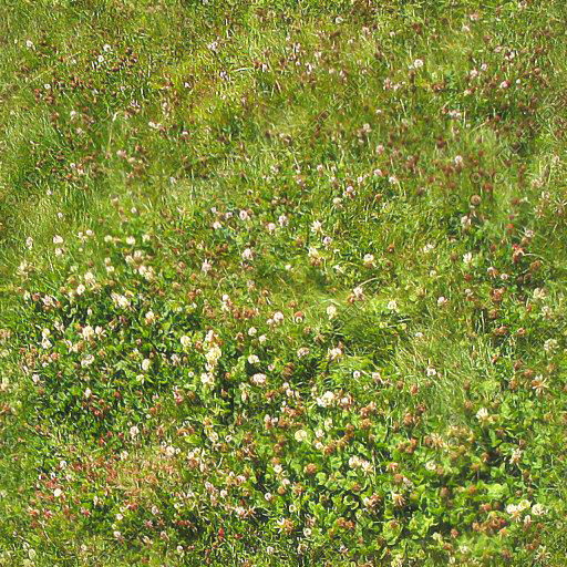 Texture JPEG Grass Ground Lawn