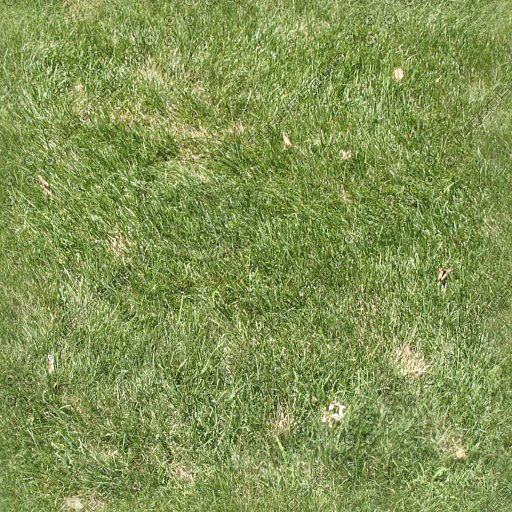 Texture JPEG Grass Ground Lawn