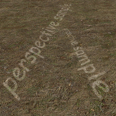 Texture JPEG grass texture tileable