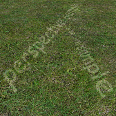 Texture JPEG grass texture tileable