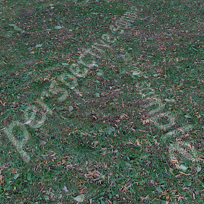 Texture JPEG grass texture tileable