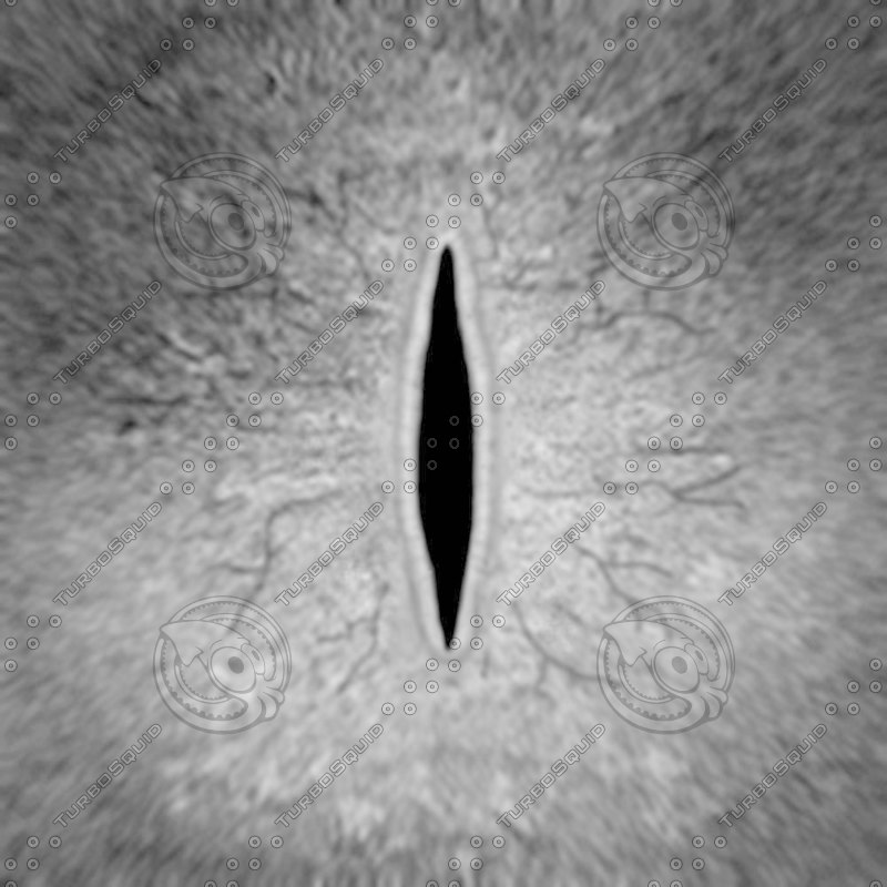 Texture JPEG Eye Creature