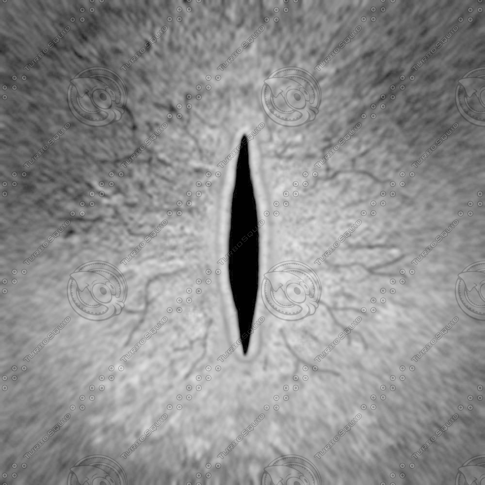 Texture JPEG Eye Creature