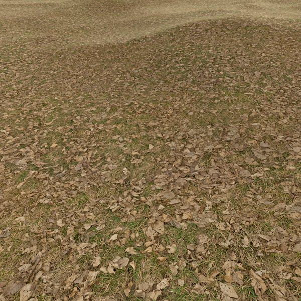 Texture JPEG grass lawn terrain