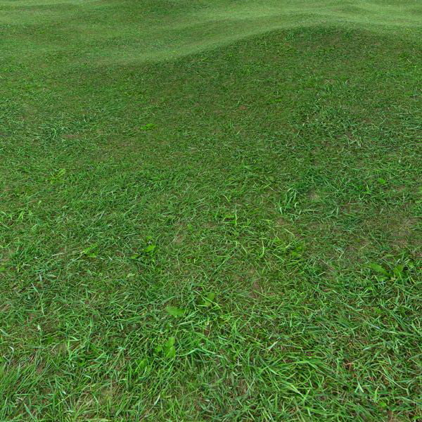 Texture JPEG grass lawn terrain