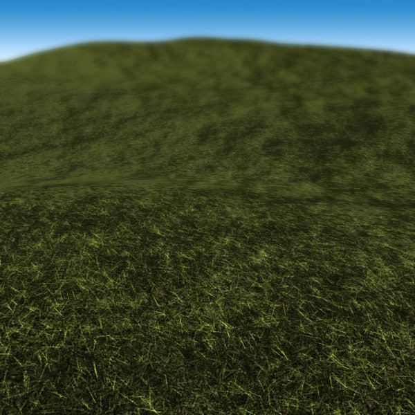 Texture Targa grass gras garden