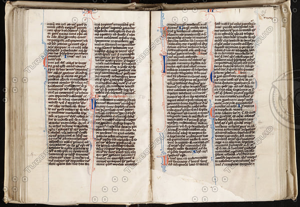 Texture JPEG medieval page illuminated