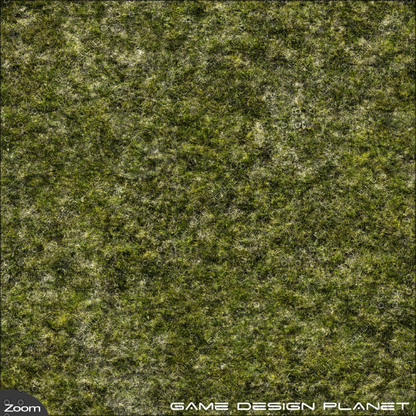 Texture JPEG grass landscape summer