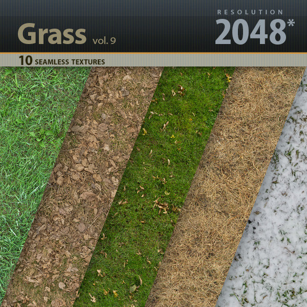 Texture JPEG grass lawn terrain
