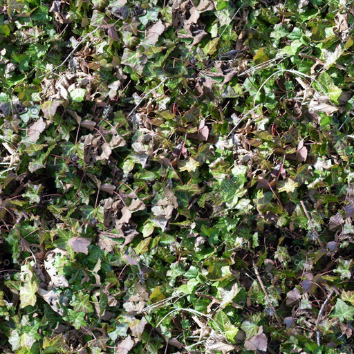 Texture ground undergrowth seamless