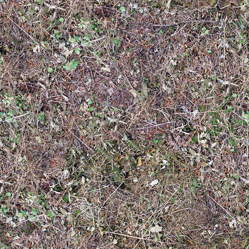 Texture ground undergrowth seamless