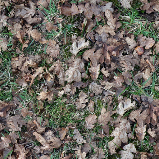 Texture ground undergrowth seamless