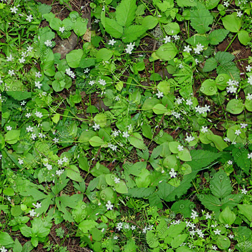 Texture ground undergrowth seamless