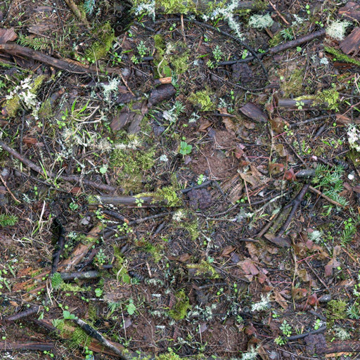 Texture ground undergrowth seamless