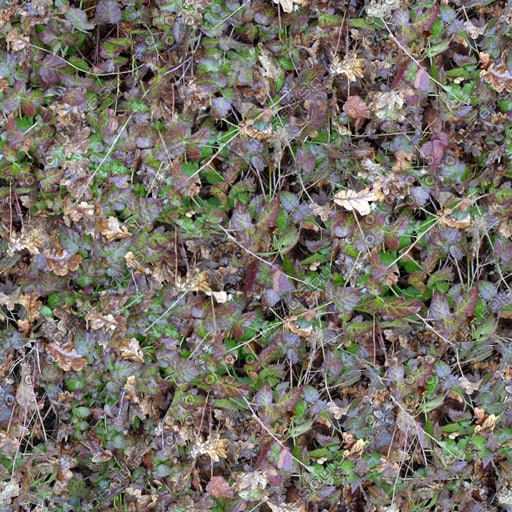 Texture ground undergrowth seamless