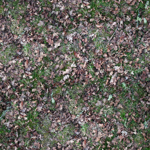 Texture ground undergrowth seamless