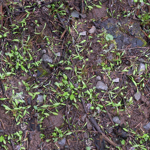 Texture ground undergrowth seamless