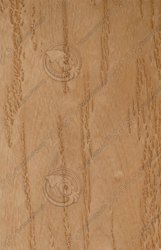 Texture JPEG wood grain sample