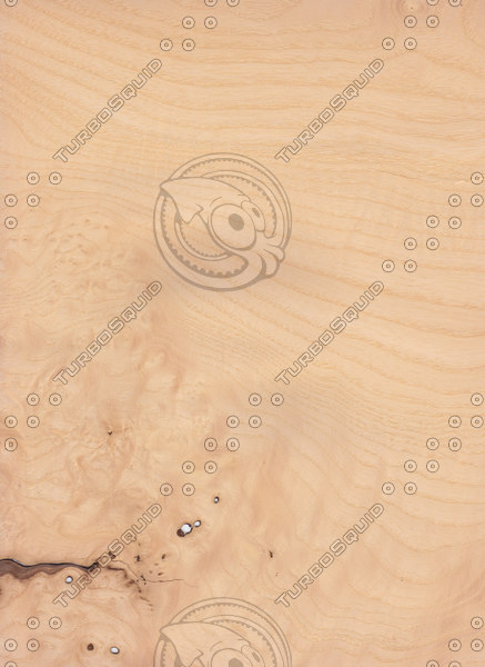 Texture JPEG burl ash bamboo