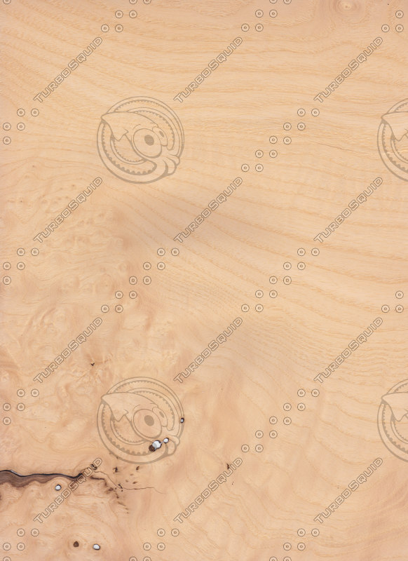 Texture JPEG burl ash bamboo