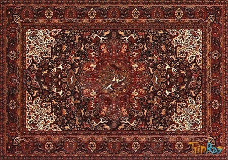 Texture JPEG carpet rectangular rug